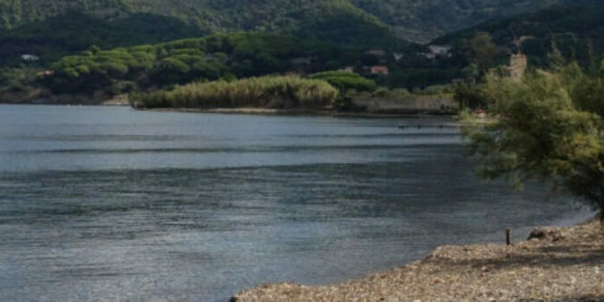 Piano strutturale: LE PRADE – AREA UMIDA - La proposta della Sezione ...